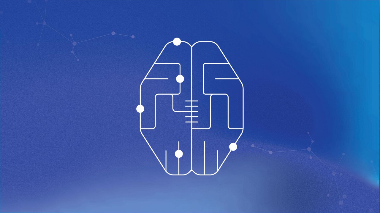 AFL First Aider: Concussion & Injury Management in Community Football